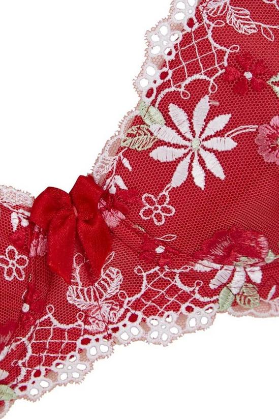Lingerie Lola Underwired Small Cup Bra Little Women